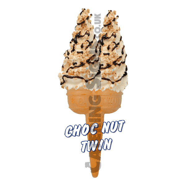 Choc Nut - Twin Cone – King Whippy Solihull